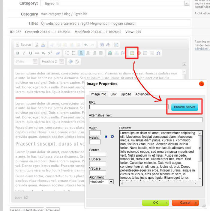 How to edit articles in the CMS - Usernet